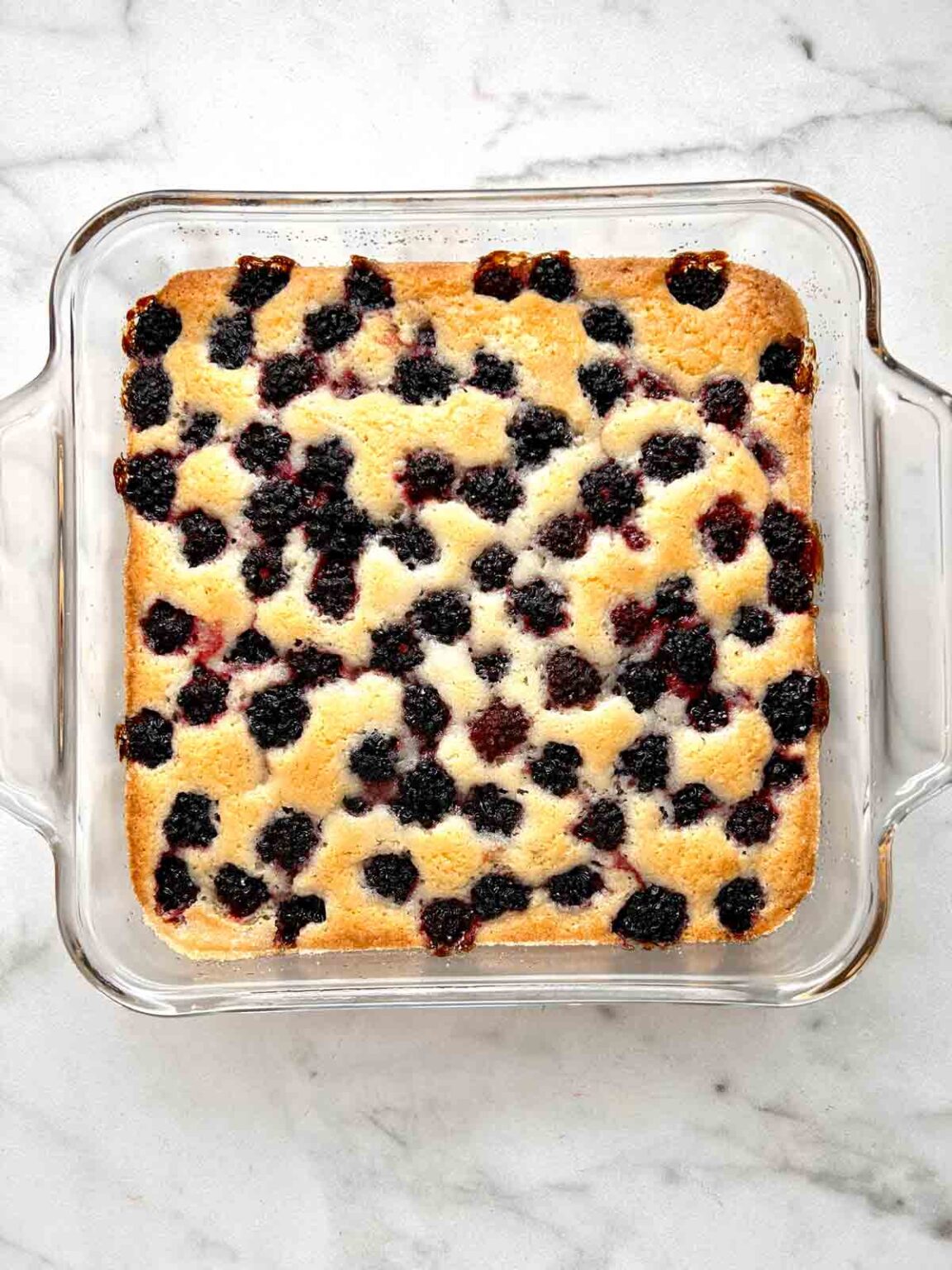 Blackberry Cobbler
