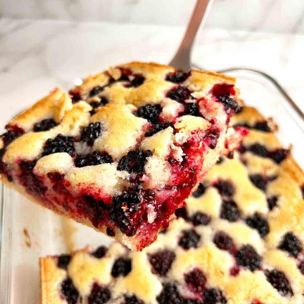 Blackberry Cobbler